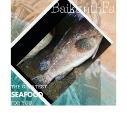 BaikunthFs, Balaramgadi - Fish Wholesalers in Balasore - Justdial