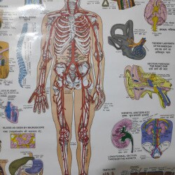 Gurujee Classes - Tutorials in Balasore - Justdial