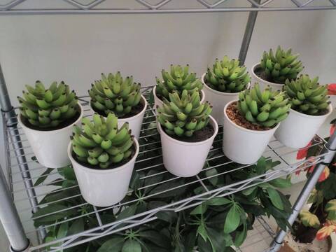 De Nature, Hsr Layout Sector 2 - Artificial Turf Dealers in Bangalore ...