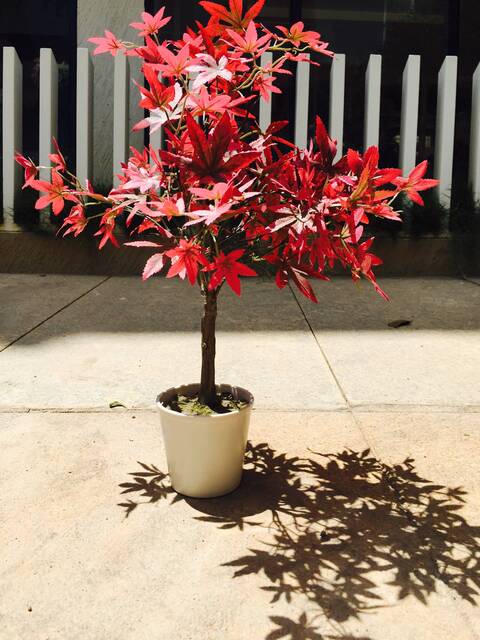 De Nature, Hsr Layout Sector 2 - Artificial Turf Dealers in Bangalore ...