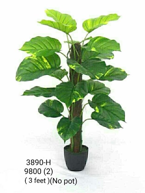 De Nature, Hsr Layout Sector 2 - Artificial Turf Dealers in Bangalore ...