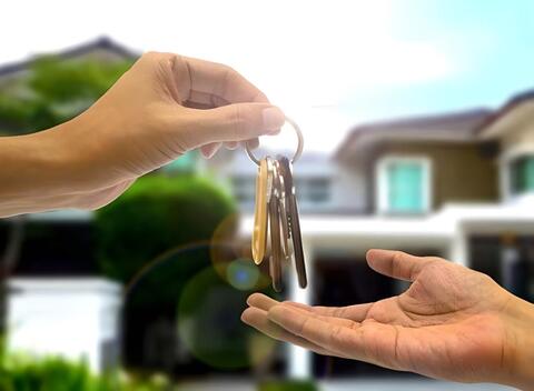 Altaf Associates, Koramangala - Estate Agents in Bangalore - Justdial