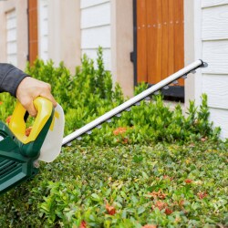 Montiz Incorporation, Civil Line - Plant Nurseries in Washim - Justdial