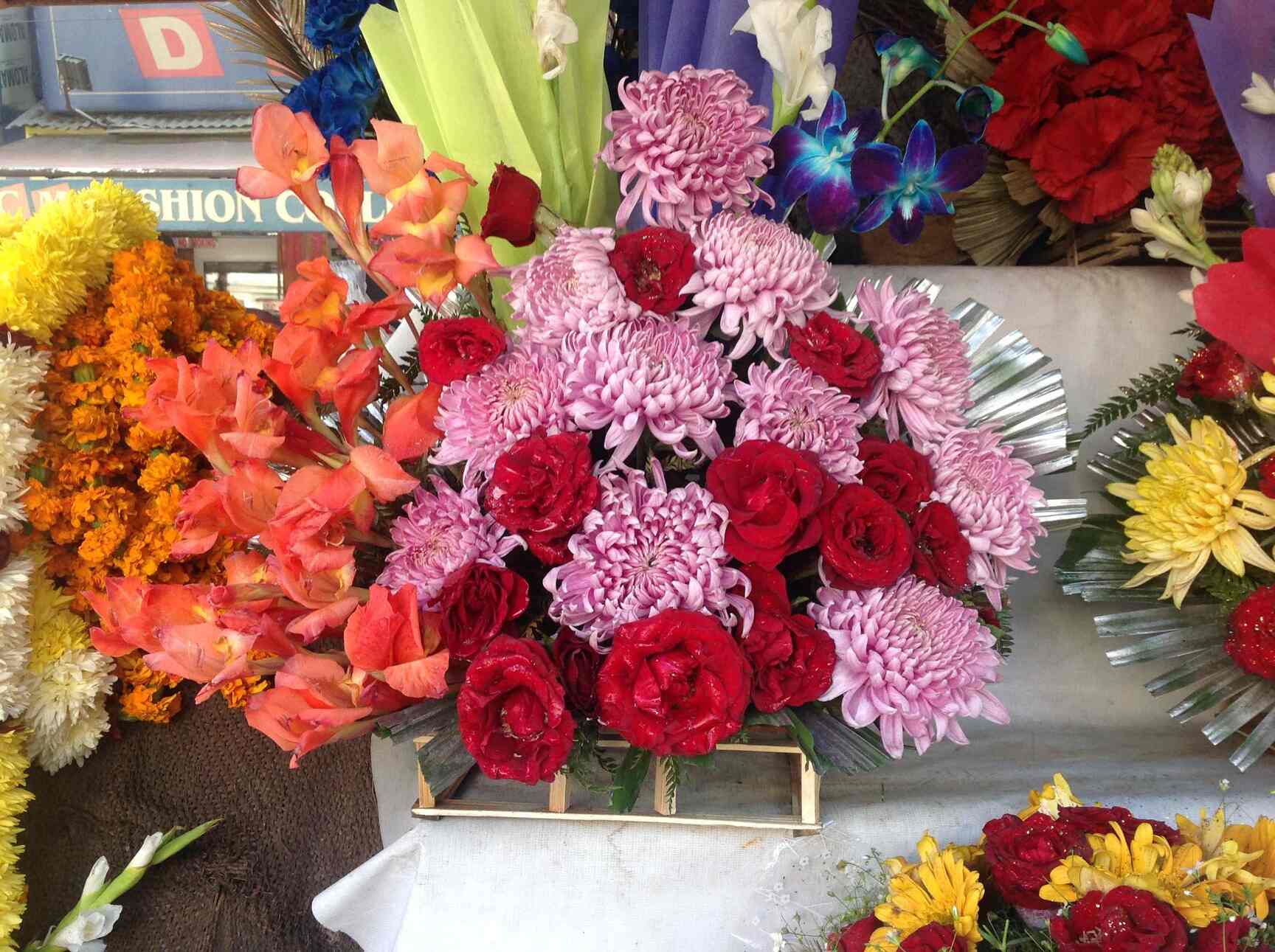 Flowers In Punjabi | Best Flower Site