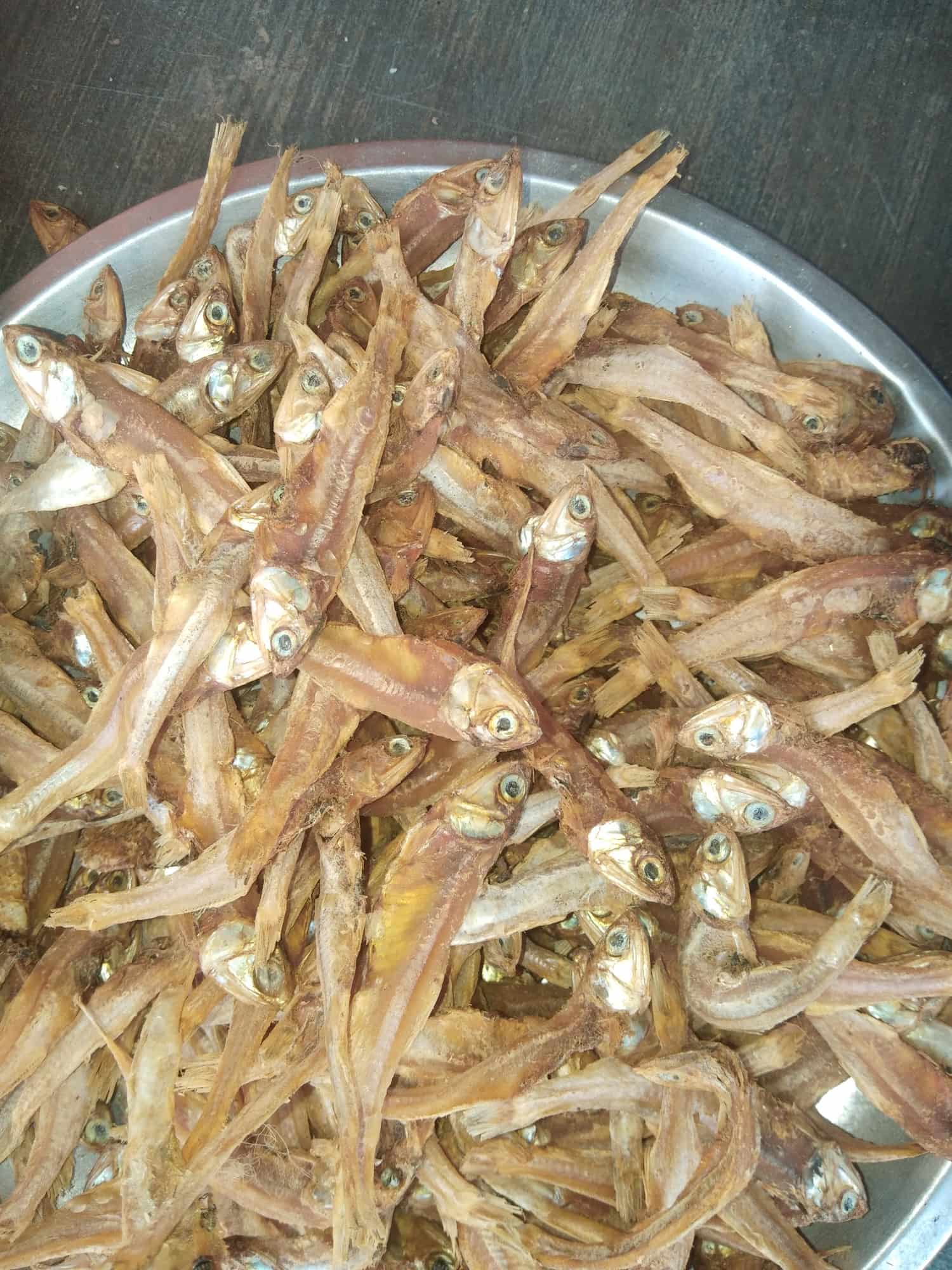 Bommidala Fish In English