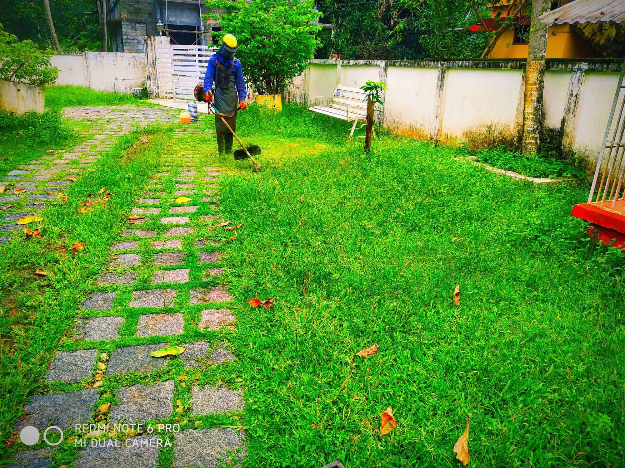 Yard Cutting Service Near Me Grass Cutting Service Online Discount yard-cutting-service-near-me-grass-cutting-service-online-discount