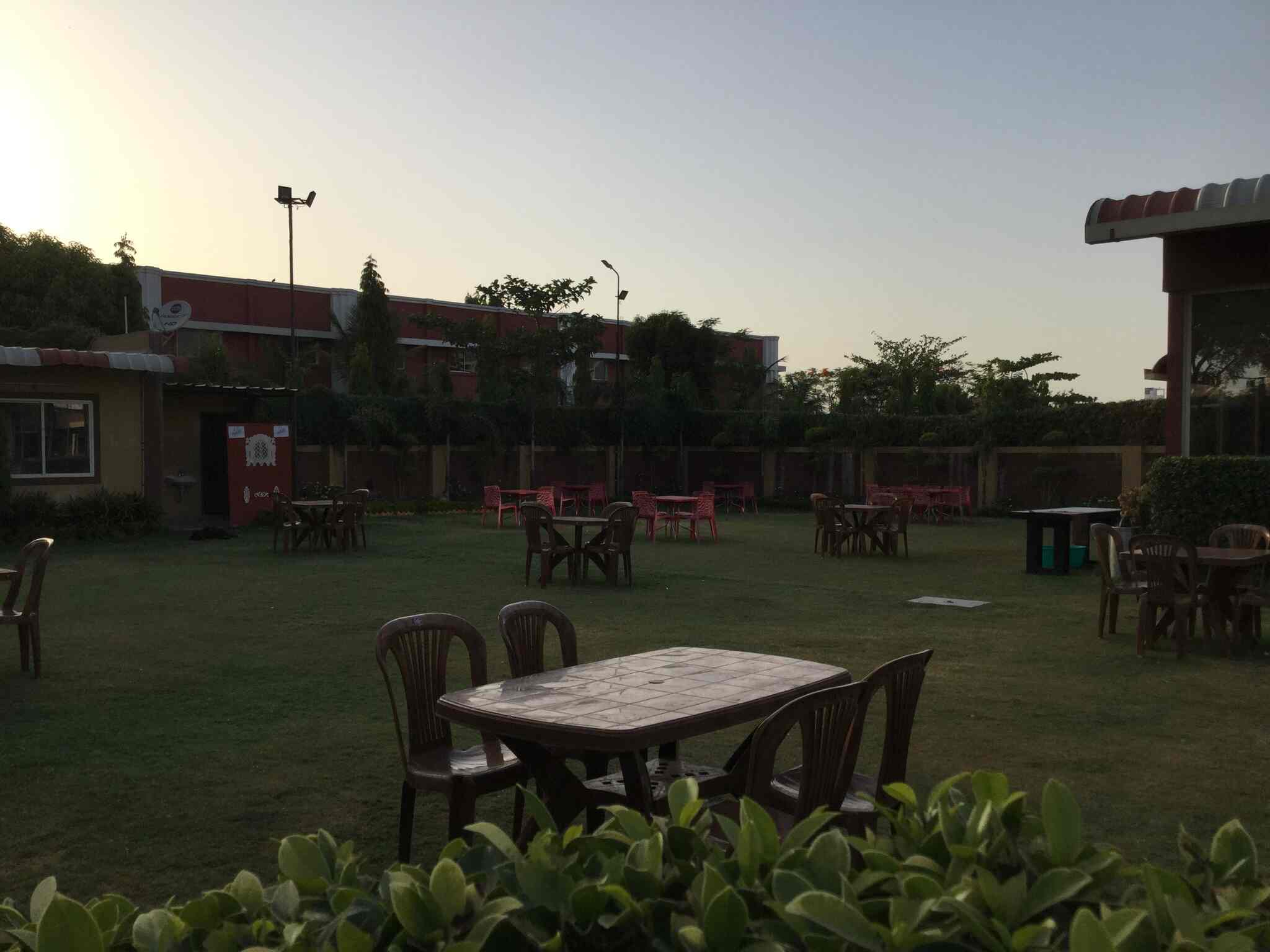 coriander leaf indore