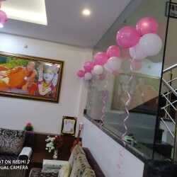 Avi Balloon Decoration, Kanadia Road - Balloon Decorators in Indore ...