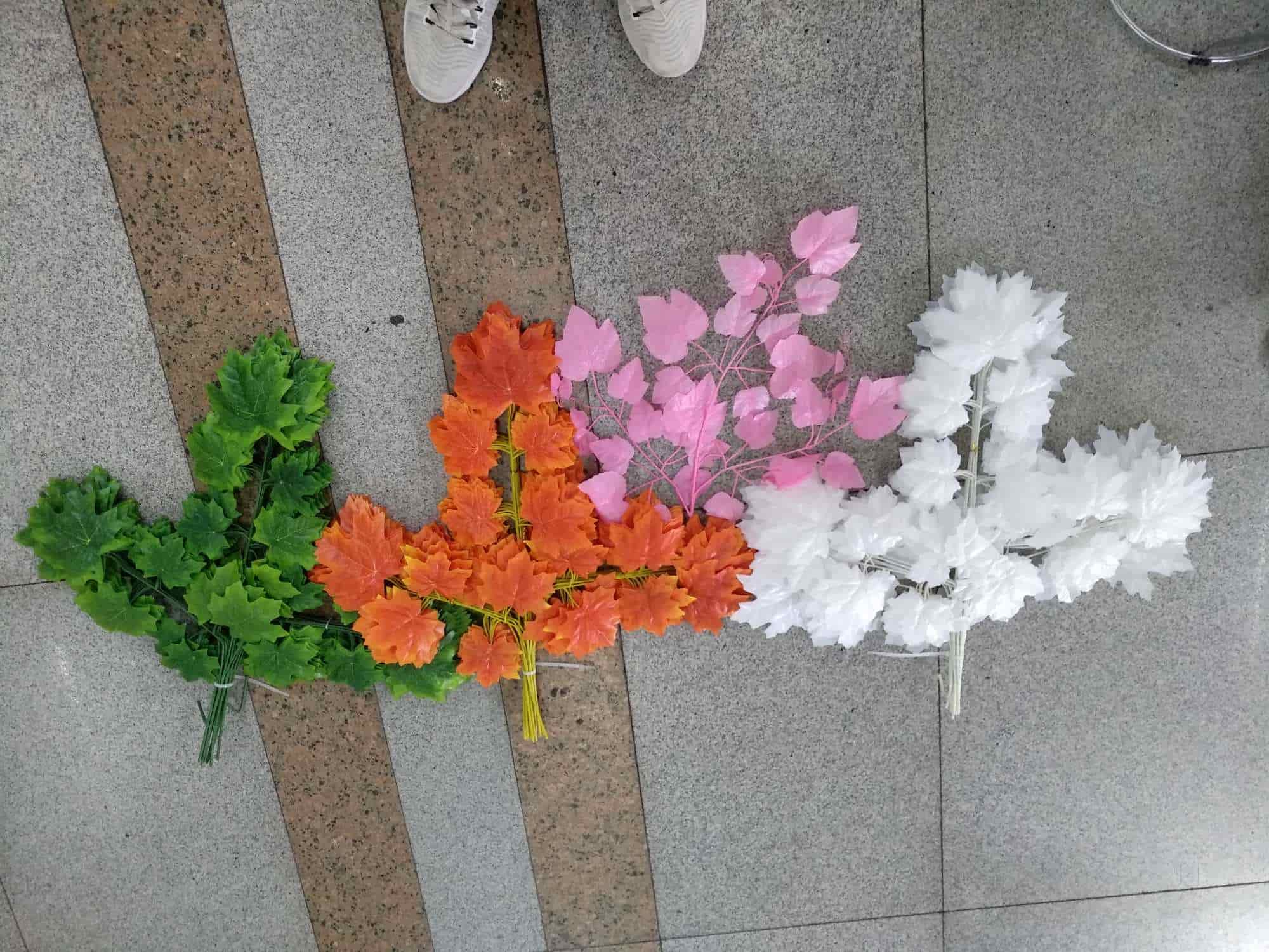 Official Flower Of Rajasthan | Best Flower Site