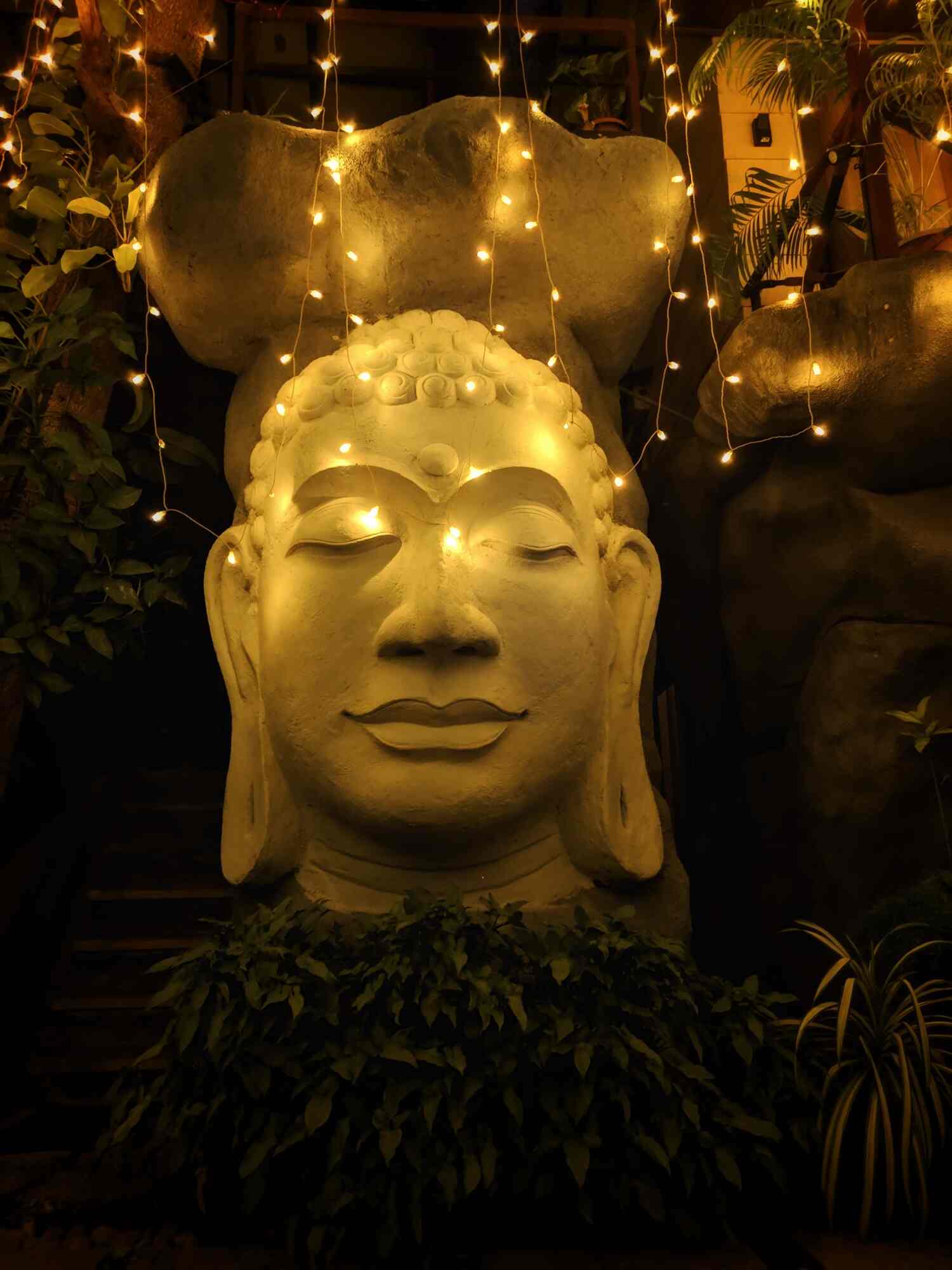 Tree Top's Instagram, Twitter & Facebook on IDCrawl