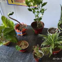 Sopan Educational & Training Institute, Garia - Tutorials in Kolkata ...