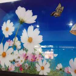 Surabhi Marbles, Changanacherry - Tile Dealers in Kottayam - Justdial