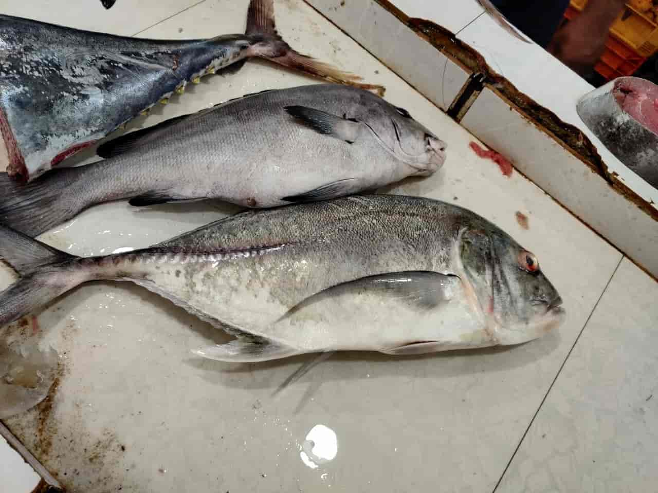 Talakitok In English