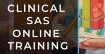 rajput rated Base Sas Training And Power Bi Training 5/5