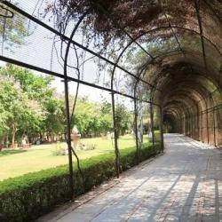 Botanical Garden Surat Photos | Fasci Garden